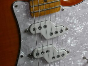 G&L Comanche: The Most Underrated Electric Guitar? – Blue Cat'z Home